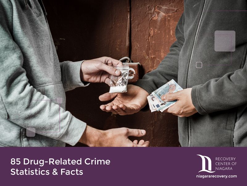 85 Drug-Related Crime Statistics & Facts - Niagara Recovery